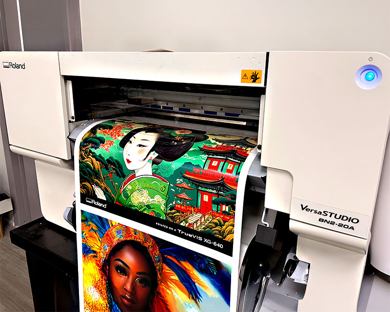 Roland BN2-20A: Best Printer for Your Business | Prensas de usados