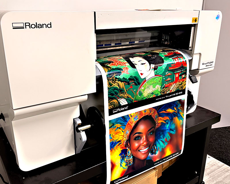 Roland BN2-20A: Best Printer for Your Business | Prensas de usados